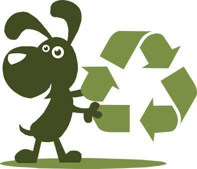 Eco-Friendly Supplies for Dogs On The Go